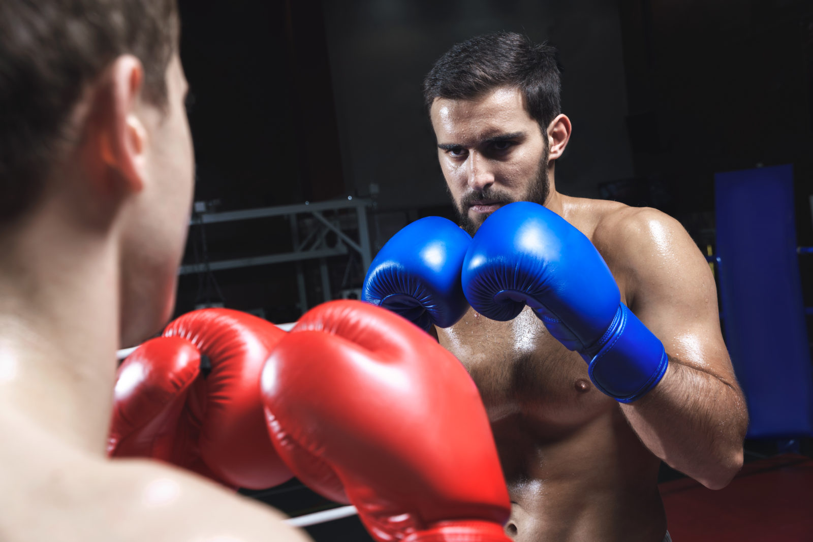 To Take - 18 Phrases in English - Word English